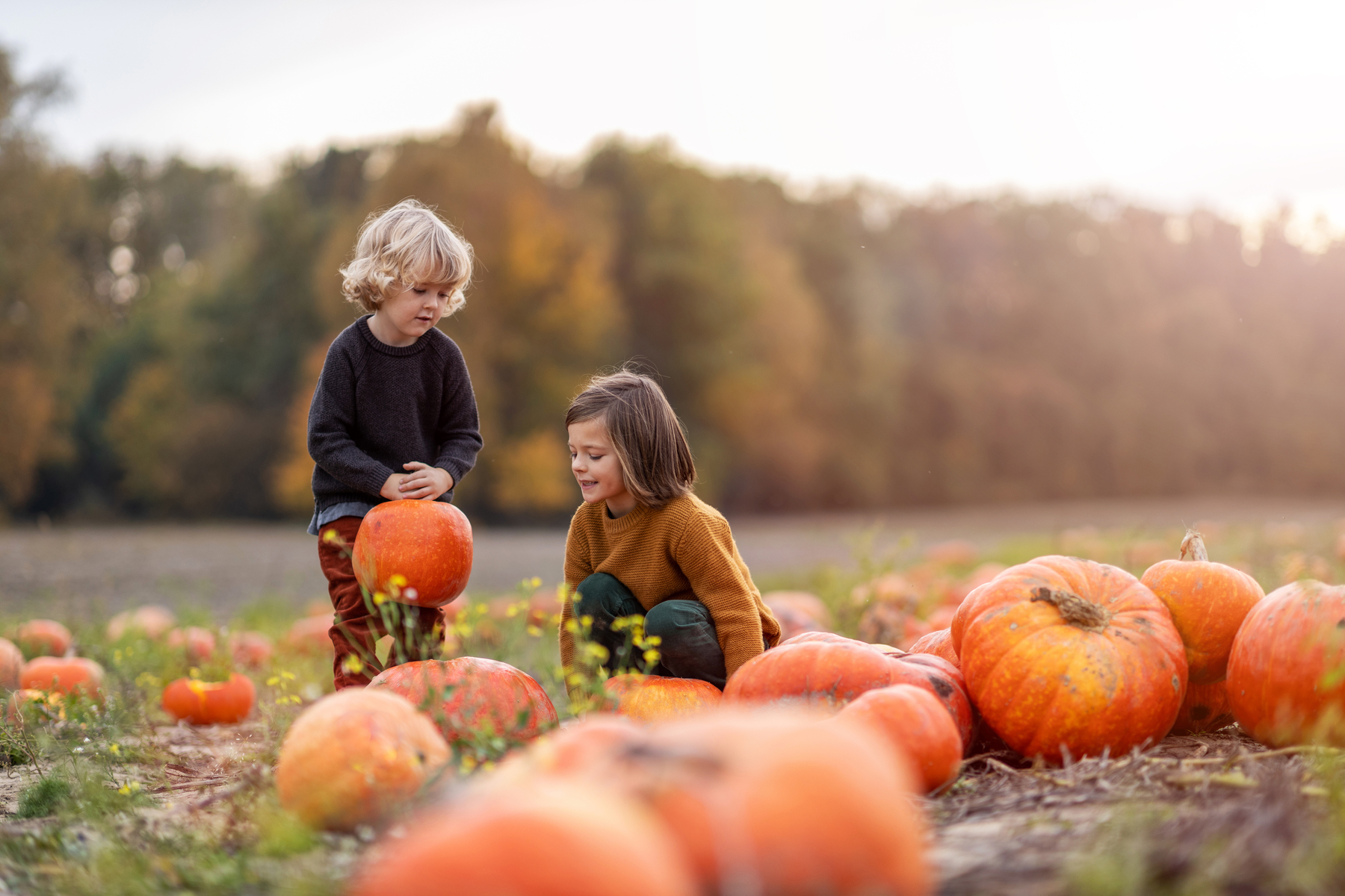 The 6 Most Anticipated Fall Activities You Can Enjoy - Colorado Real ...